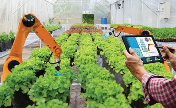 Farmers must embrace Technology in Agriculture or miss out.